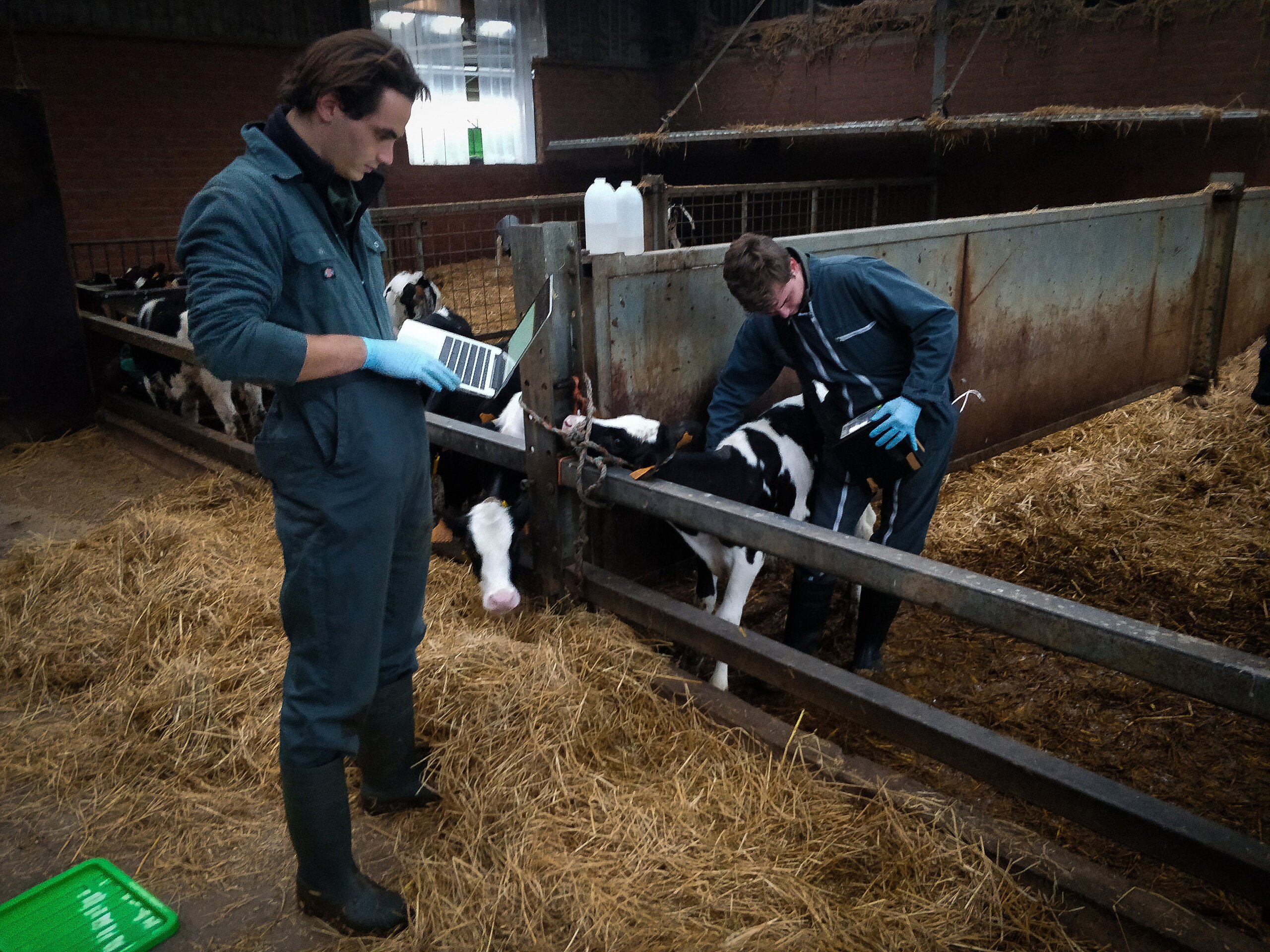 PneumoNEE-project, nieuwe aanpak in strijd tegen luchtweginfecties bij ...