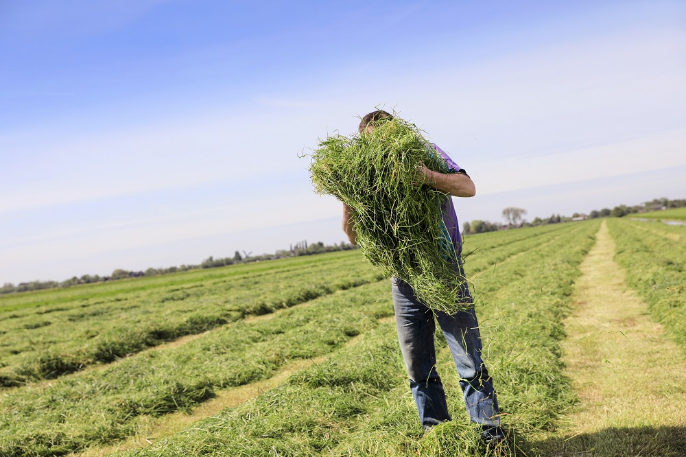 Topgrass: voor meer en beter gras per hectare
